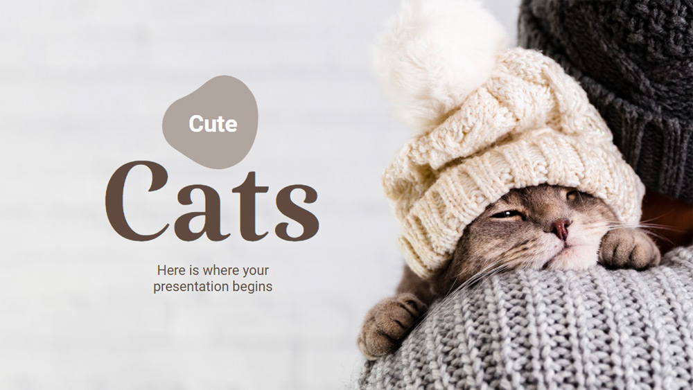 Download Cute Cats 【FREE】 - Powerpoint and Google Slides | Slidesacademy