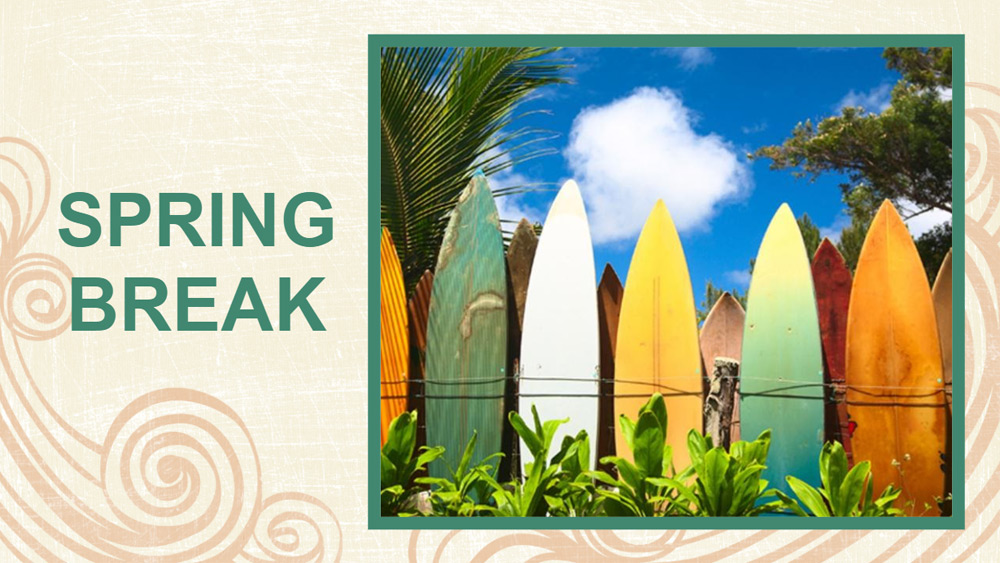 Descarga Spring Break photo album (beach design, widescreen) 【GRATIS ...